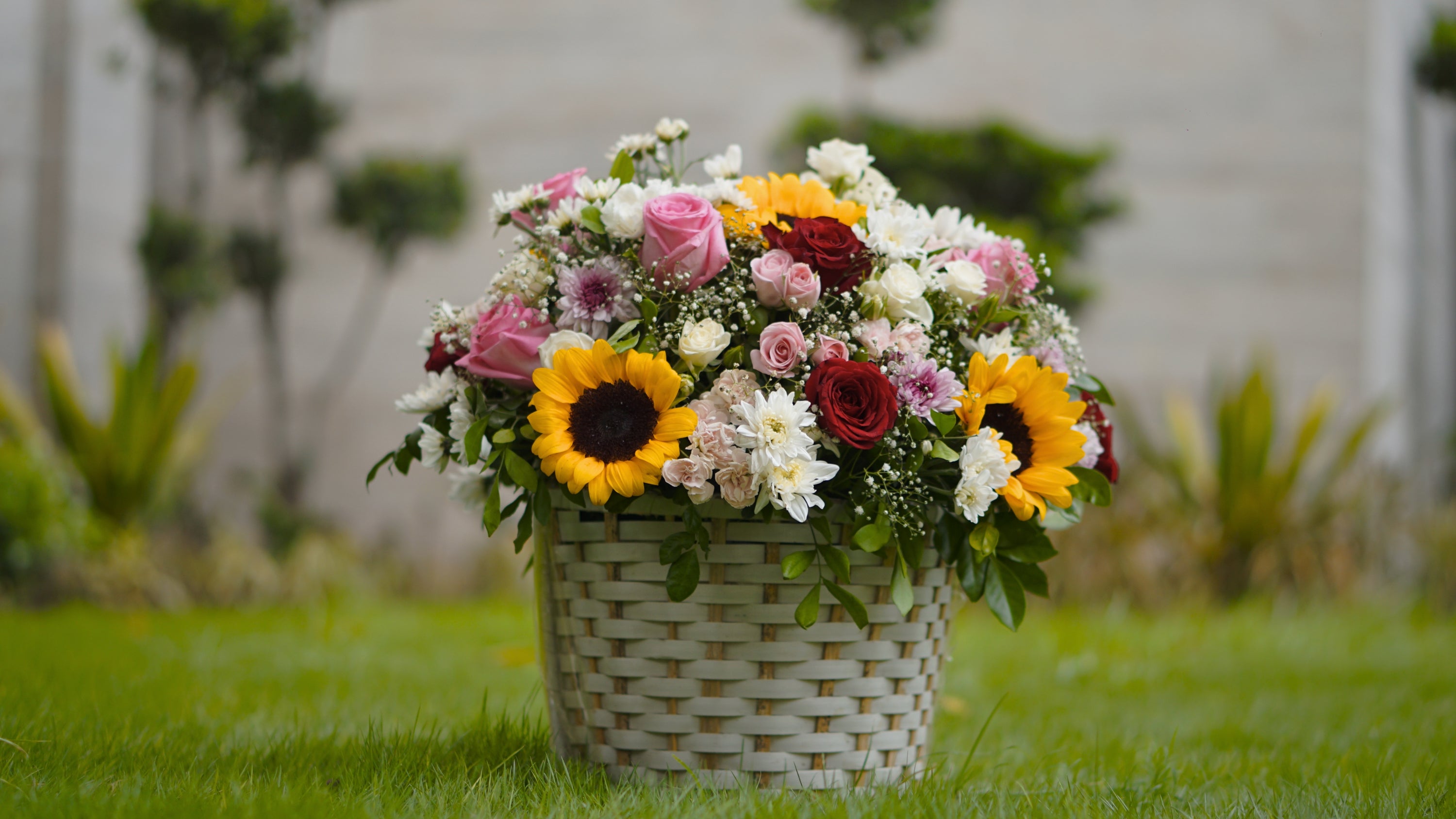 Blooms & Bouquets: Fresh Flowers Express Emotion | Gulbaan